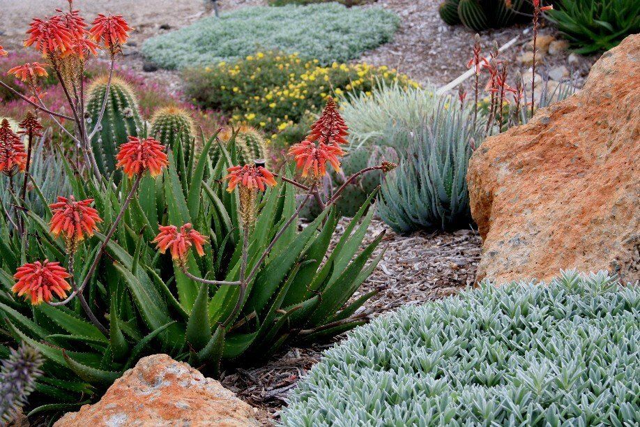 Waterwise Botanicals - Your Destination Botanical Gardens