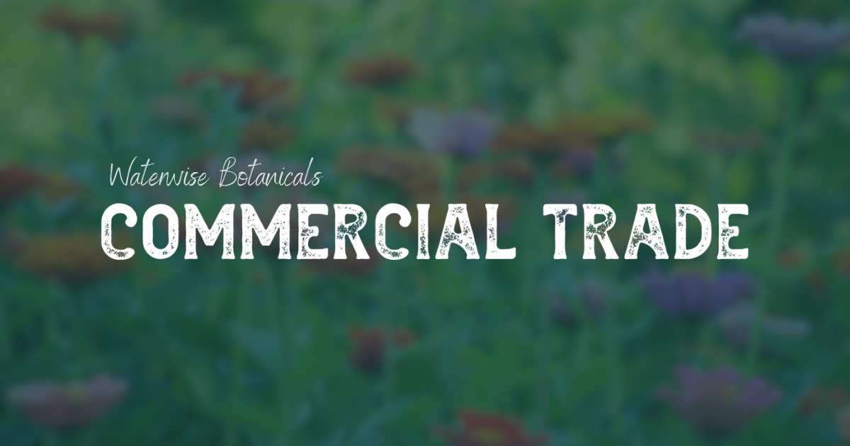 Commercial Plant Availability | Waterwise Botanicals