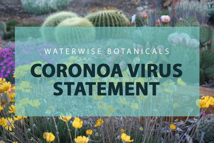 Corona Virus Statement - Waterwise Botanicals