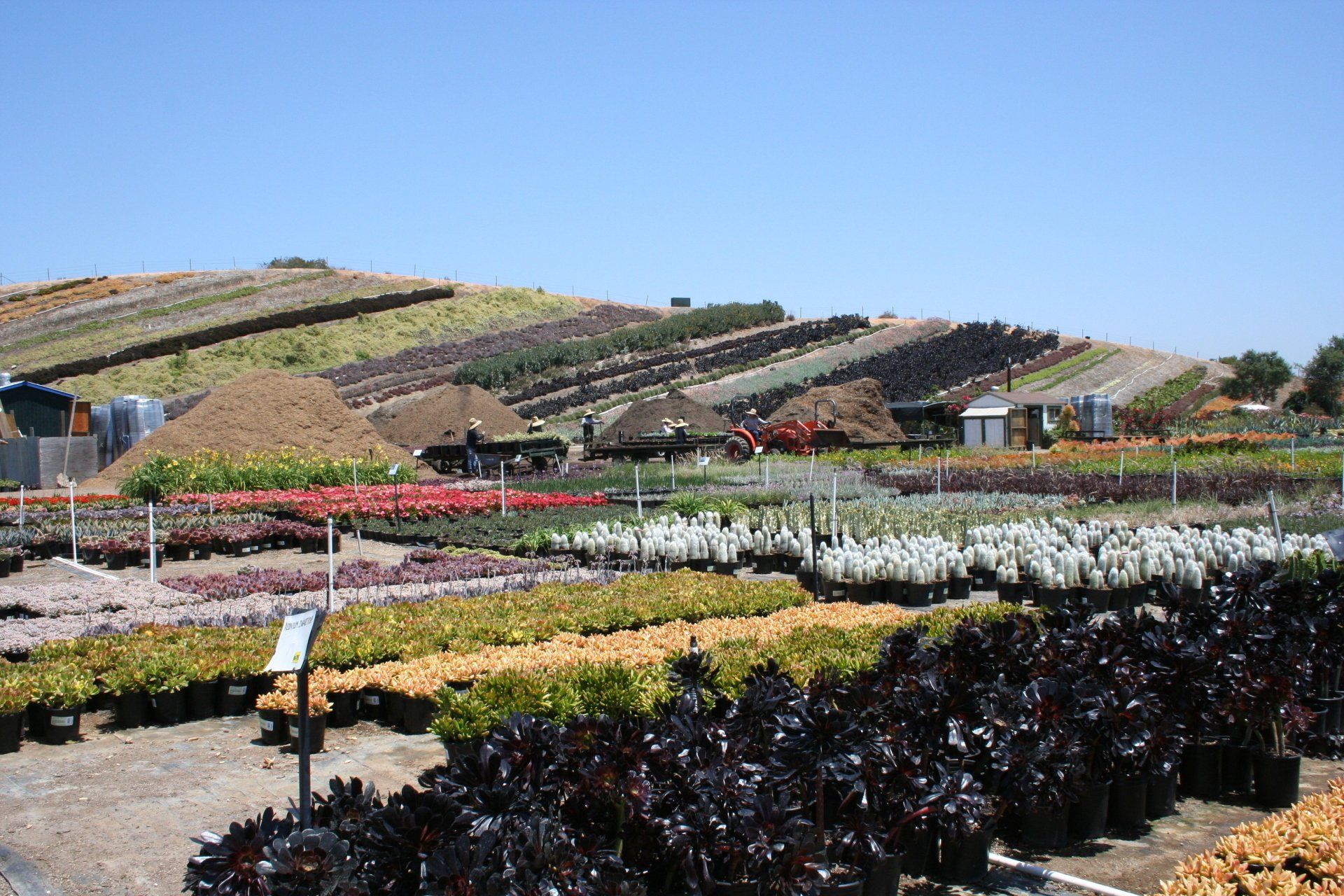 Waterwise Botanicals - Your Destination Botanical Gardens