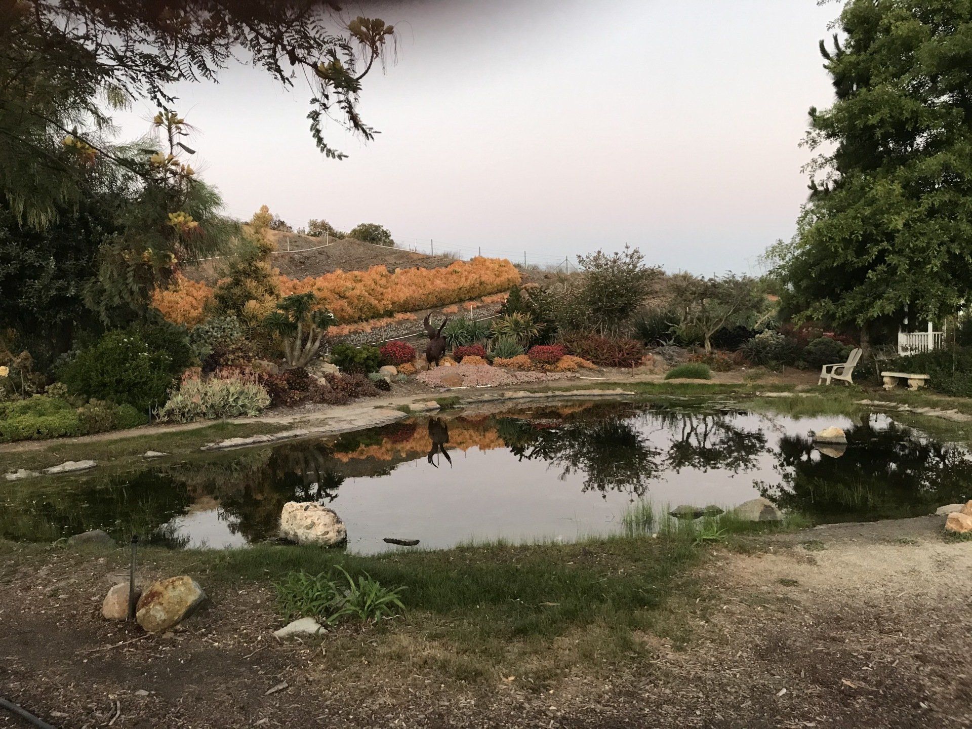 Waterwise Botanicals Nursery & Gardens