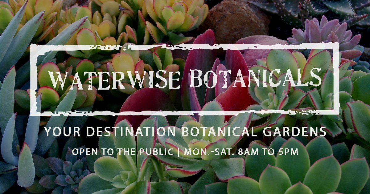 Waterwise Botanicals Nursery & Gardens