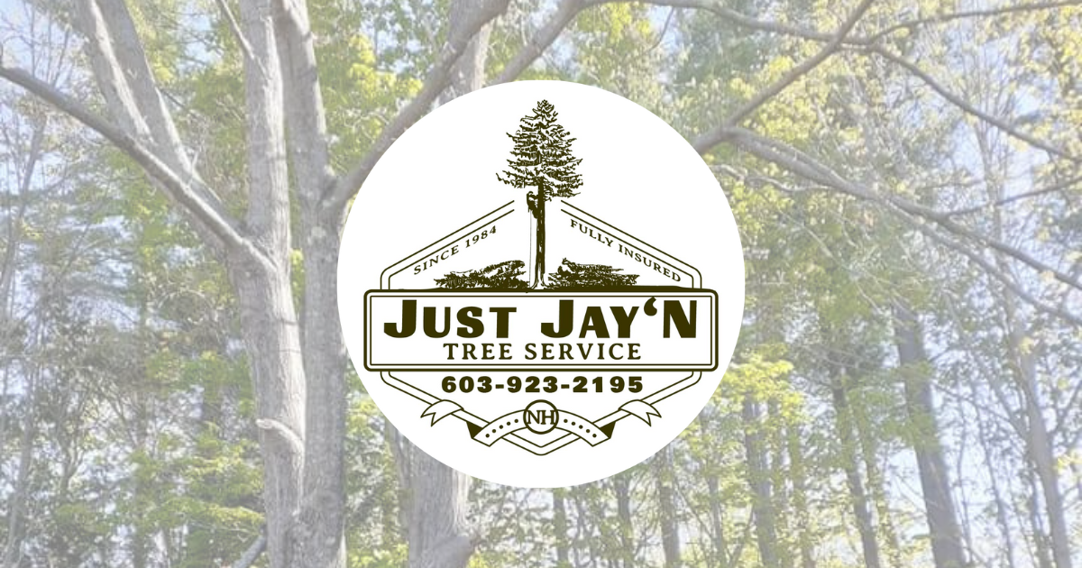 HOME | Just Jay 'N Tree Service | Strafford County, NH