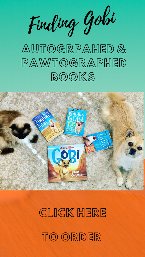 Finding Gobi book by Dion Leonard