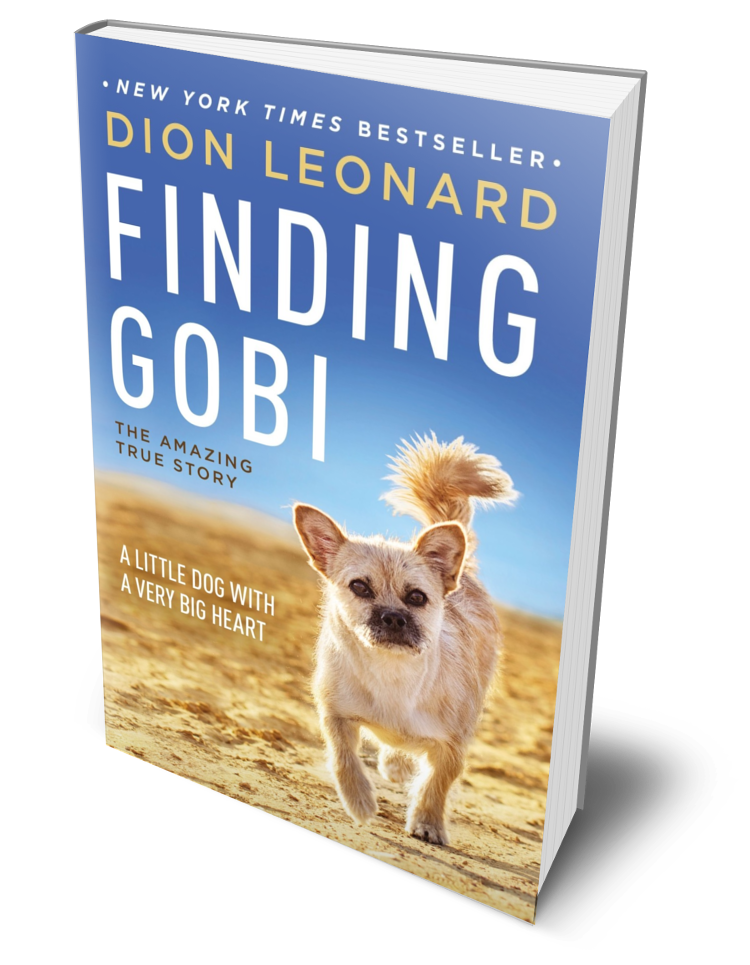 Finding Gobi, Media and News