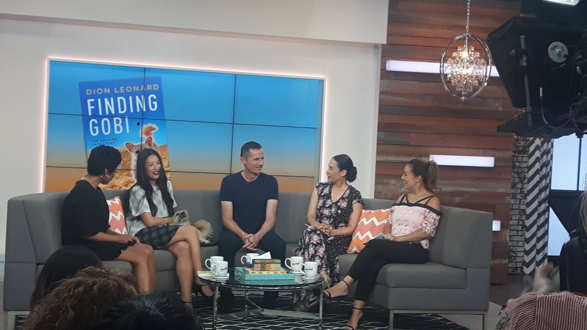 Finding Gobi, Dion Leonard, New York Times Bestseller.