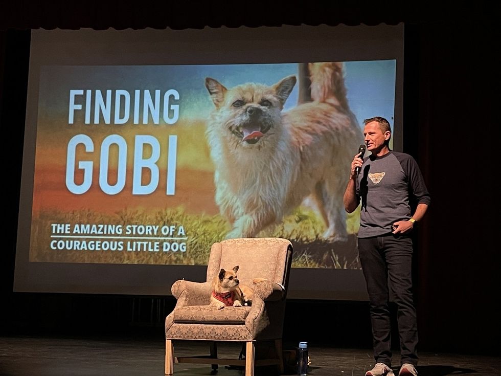 Finding Gobi, Dion Leonard, New York Times Bestseller.