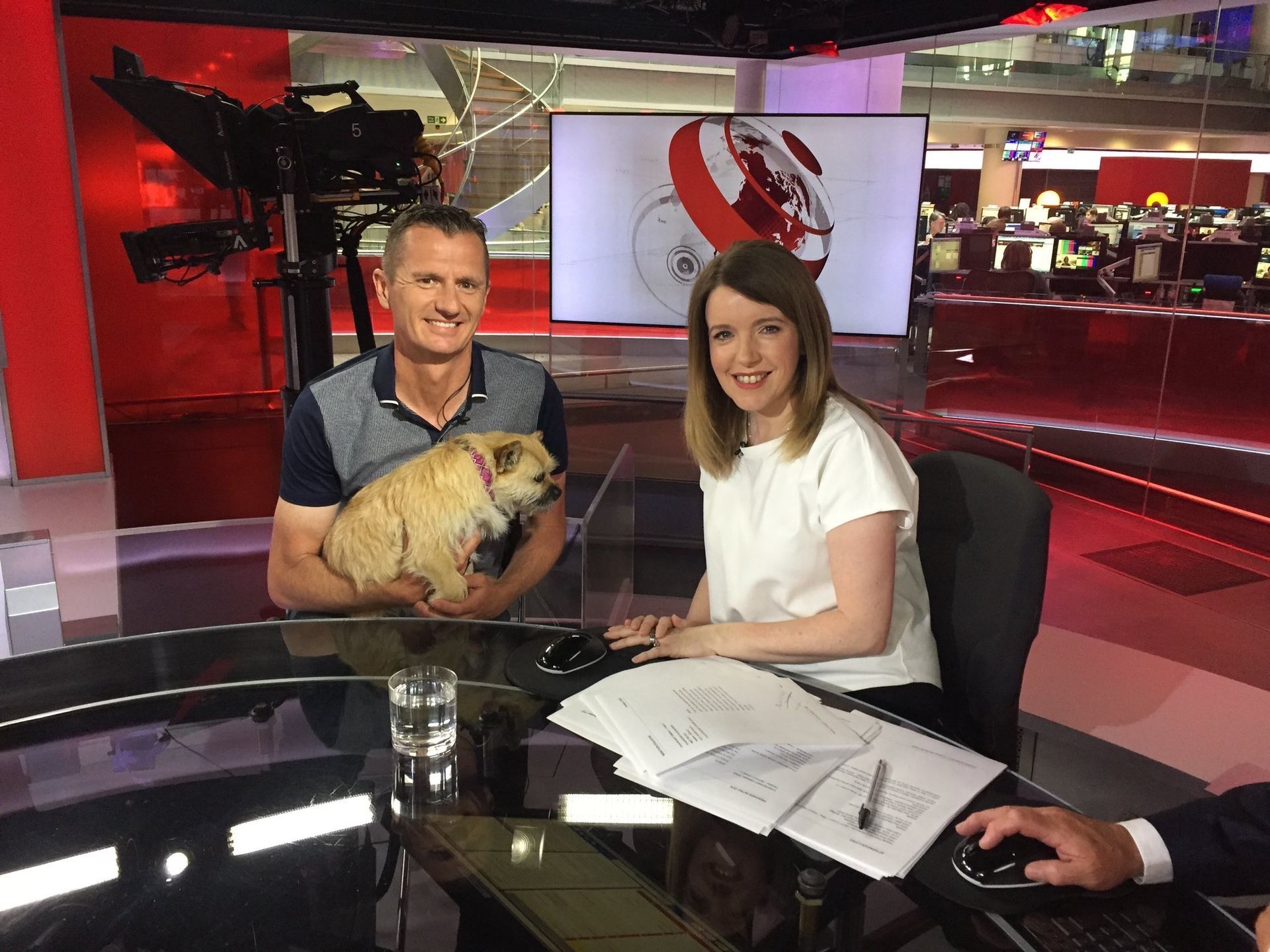 Finding Gobi, Dion Leonard, New York Times Bestseller.