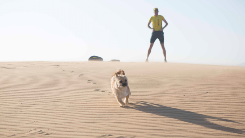 Finding Gobi, Dion Leonard, New York Times Bestseller.