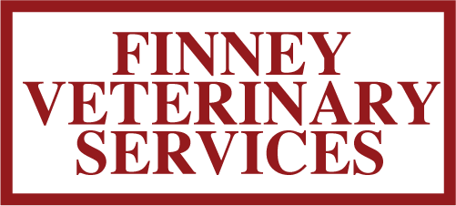 HOME [www.finneyvetclinic.com]
