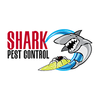 Pest Control Services Sunshine Coast | Shark Pest Control