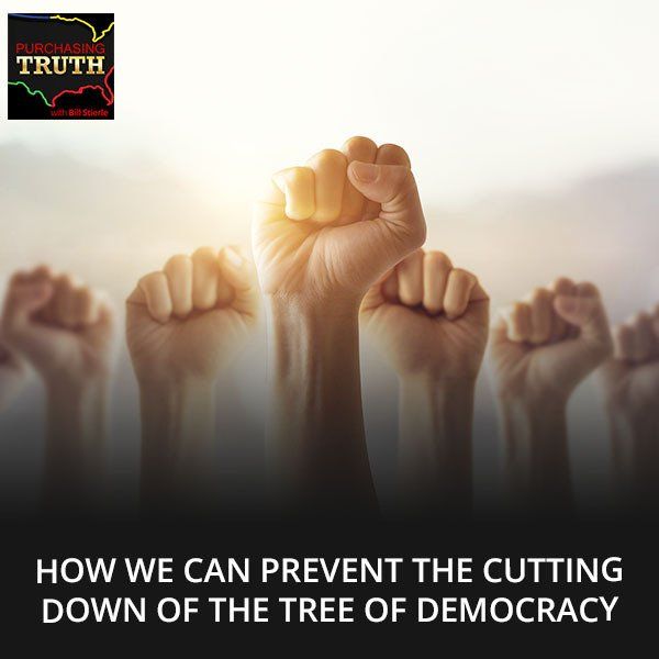 How We Can Prevent The Cutting Down Of The Tree Of Democracy