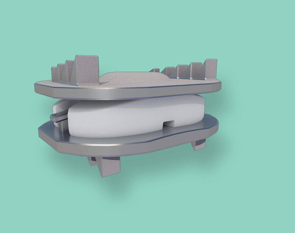 Showcase of Accurate and Visual Medical Illustrations | Ion Medical Designs