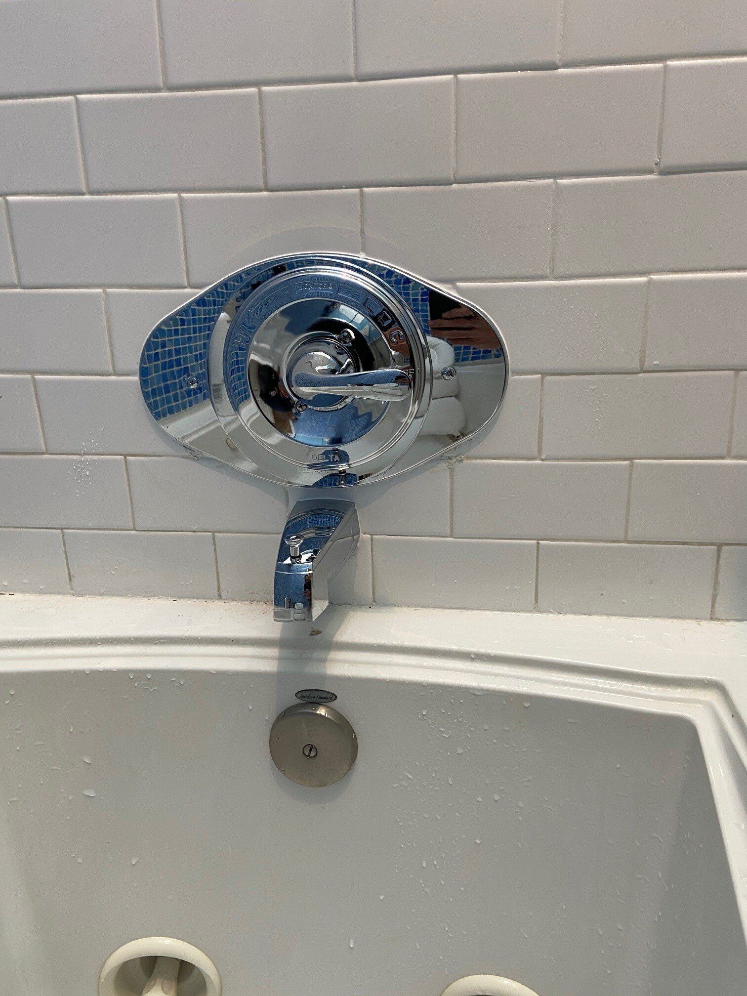 Shower Valve Replacement Retrofit