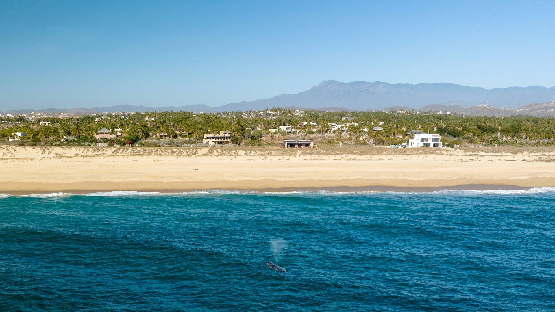 BAJA SURF REALTY