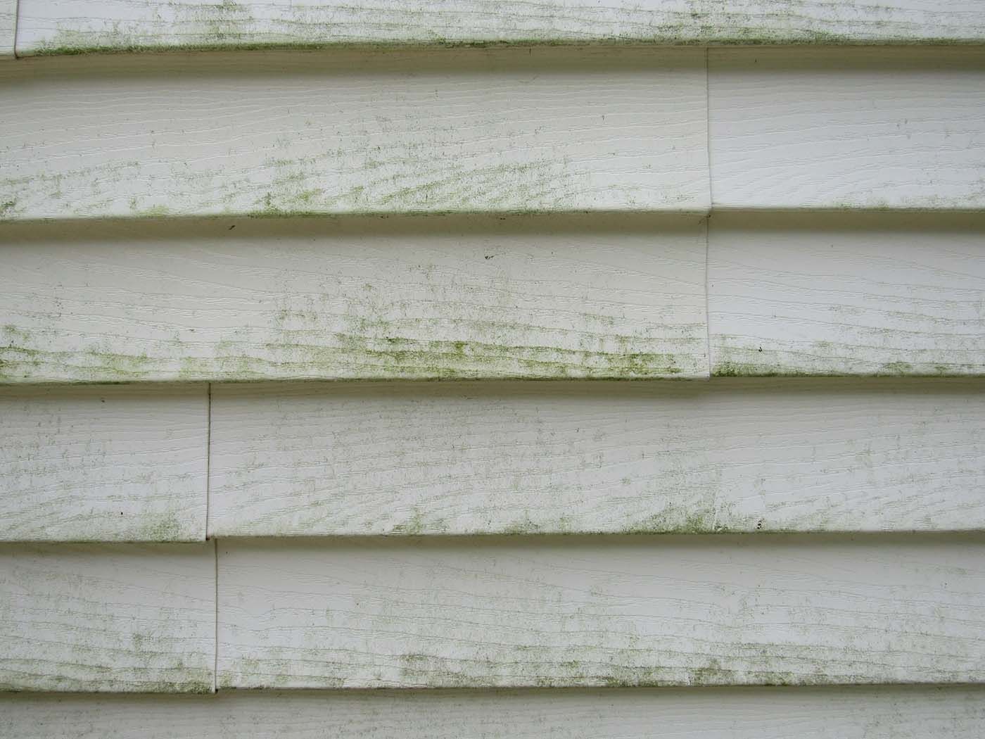 Common Causes of Dirty Siding - Soft Washing Long Island - KOS