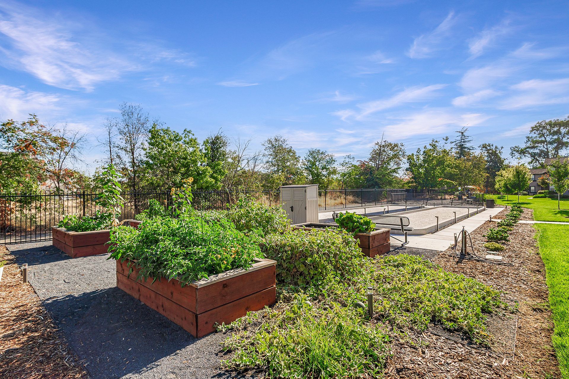 Amanda Place Apartments | Hignell Rentals