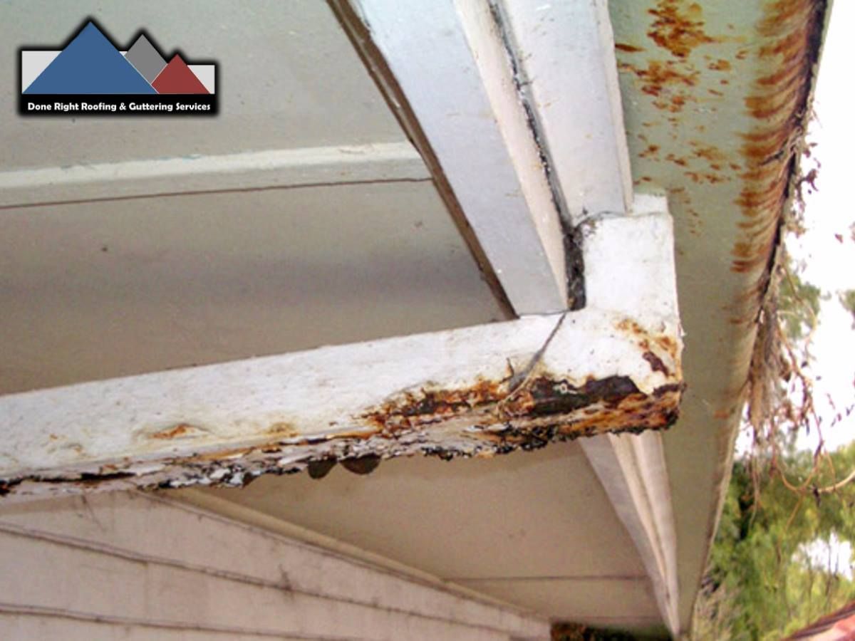 Expert Roof Repairs Adelaide – Get a Free Quote | Done Right Roofing ...