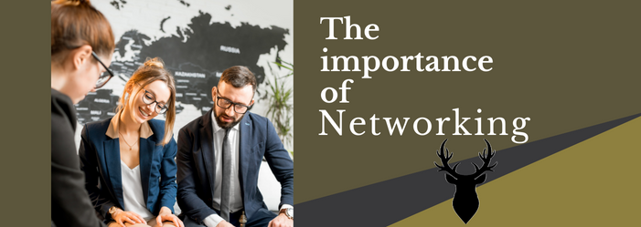 The Importance of Networking