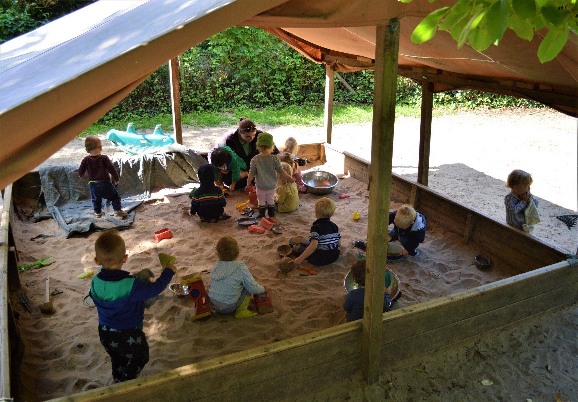 HOME | TALL TREES KINDERGARTEN