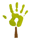 HOME | TALL TREES KINDERGARTEN