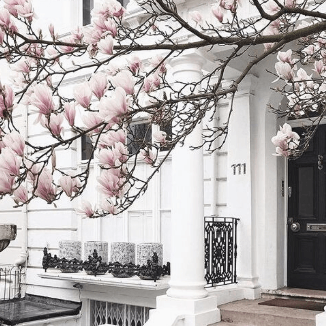 What Feng Shui Says About the Vibe of Your House Number