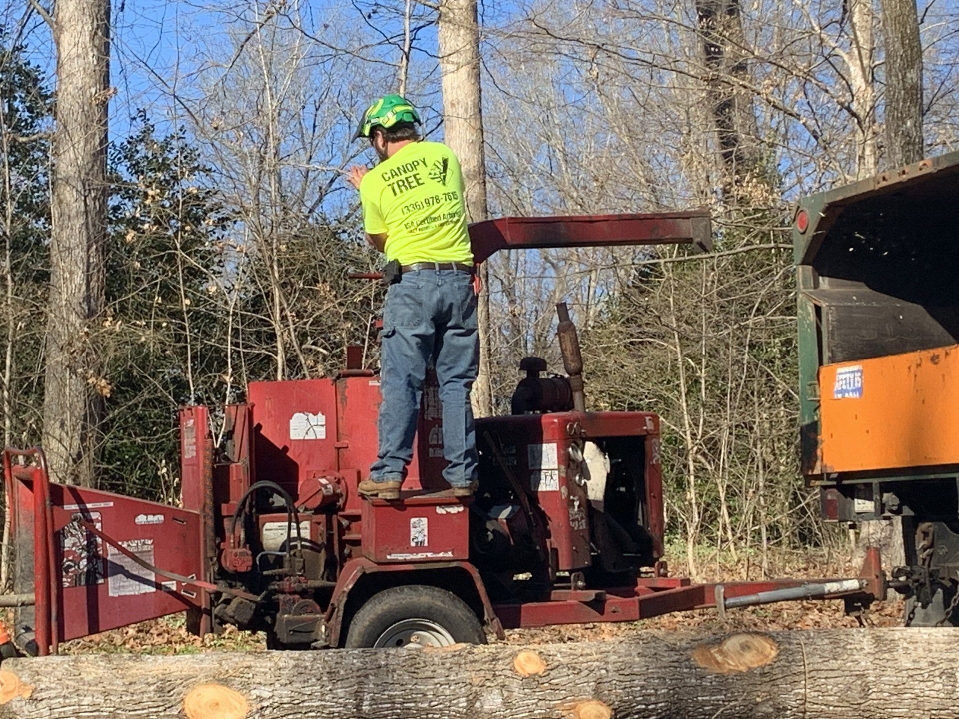 Tree Removal | Mocksville, NC | Canopy Tree Service