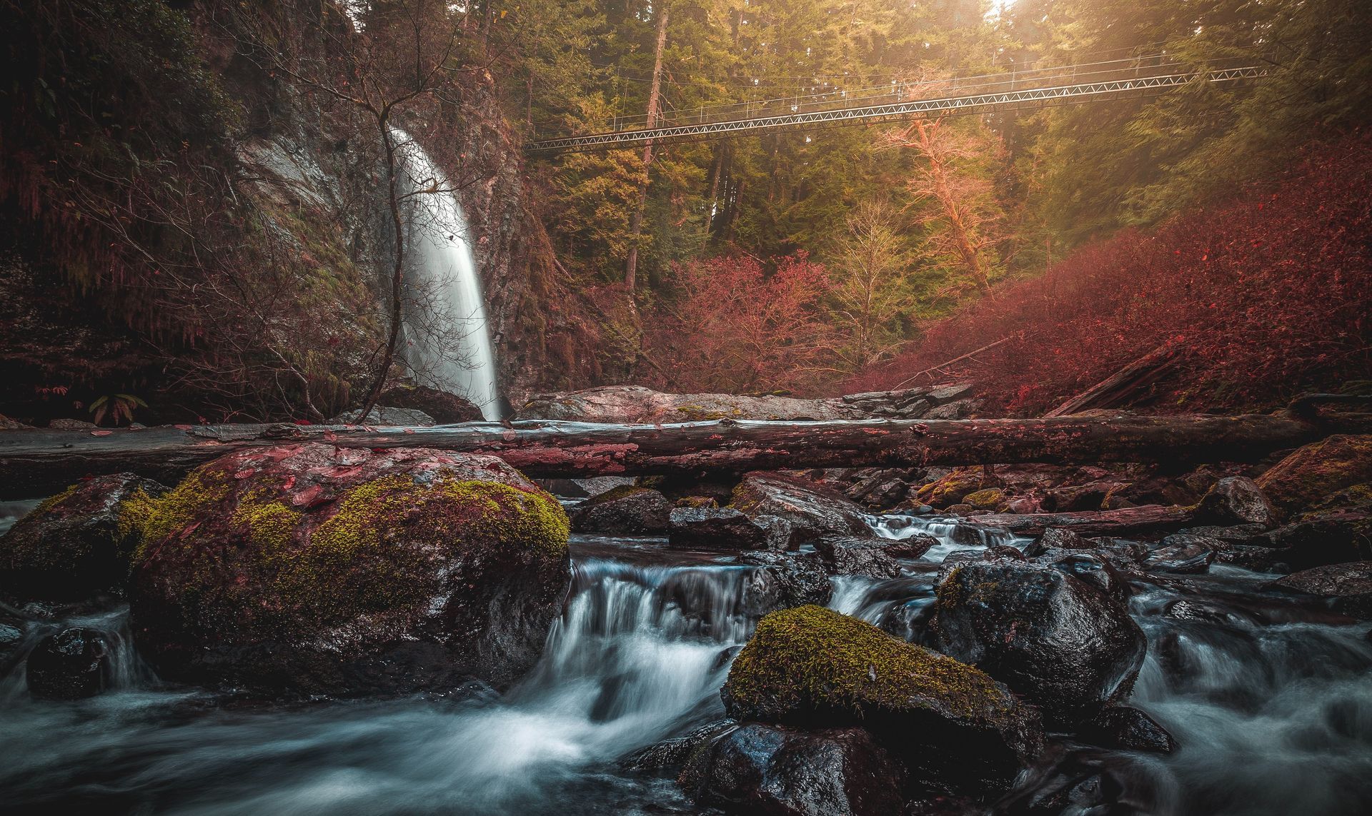 Planting Locations | A Tree to Remember