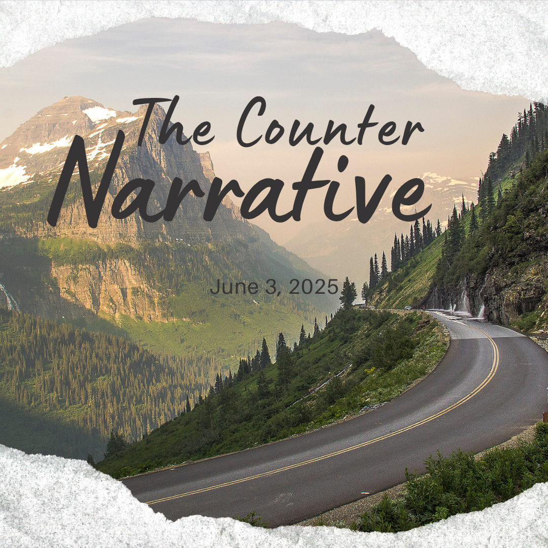 THE COUNTER NARRATIVE