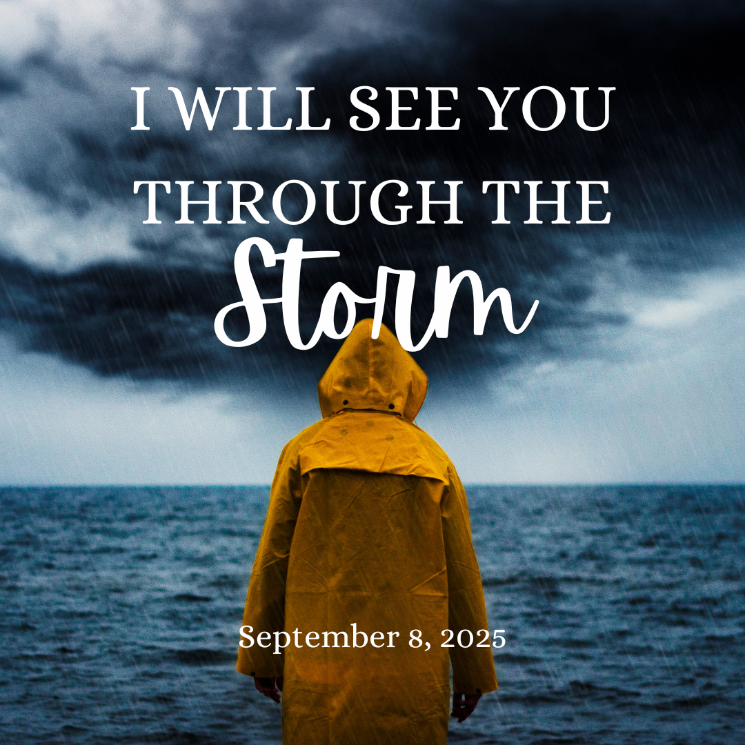 I WILL SEE YOU THROUGH THE STORM