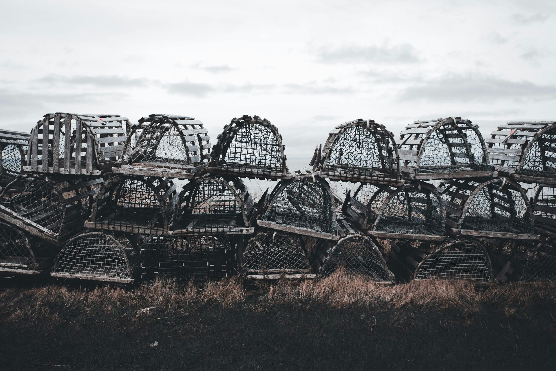 TRAPS, TRAPS, AND MORE TRAPS