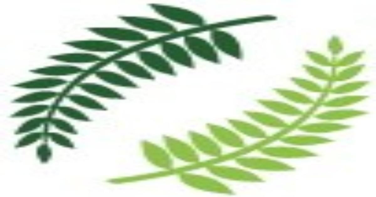 Our Services - The Tamarind Centre