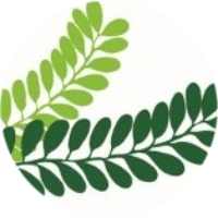 About Us - The Tamarind Centre
