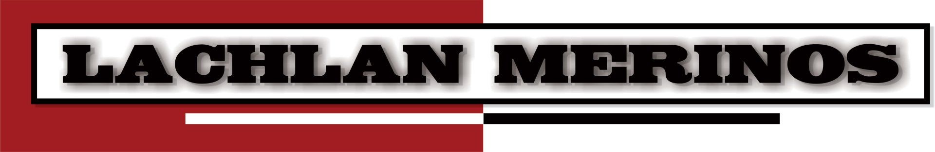 Photo Gallery | Lachlan Merinos