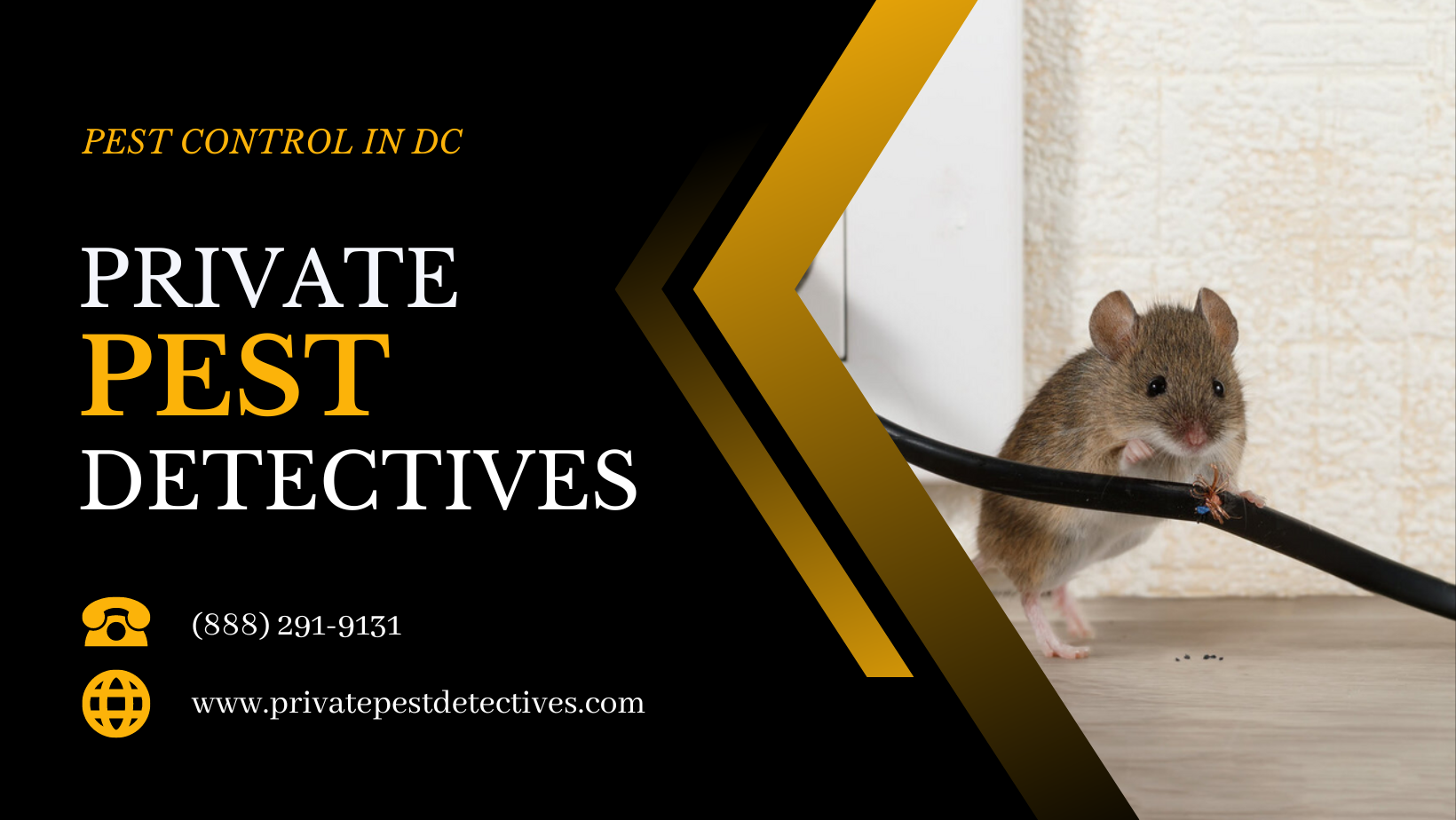 Pest Control in Washington DC - Private Pest Detectives - Serving DC ...