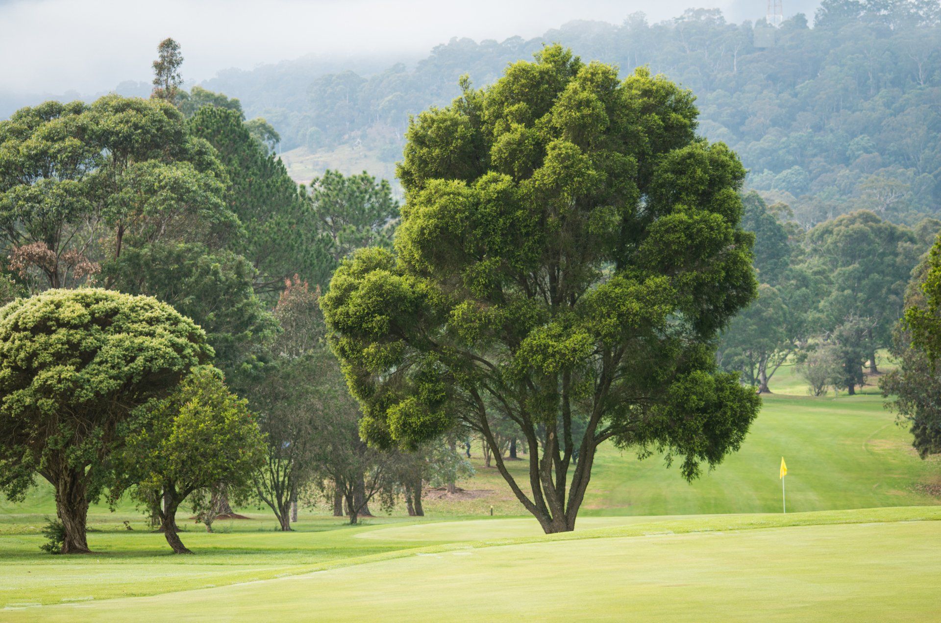 Bega Country Club - Bega, NSW - Gallery