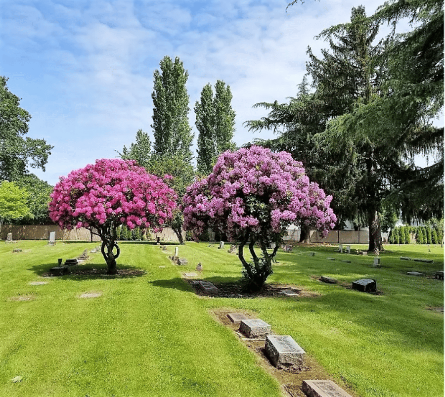 Cemeteries | Cemetery Association of Oregon