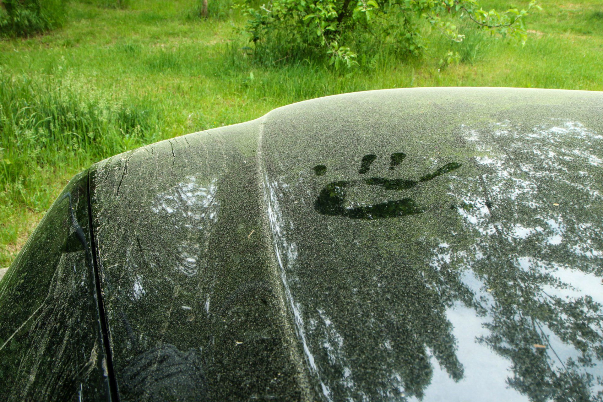 It's pollen season, your car's paint has allergies too.