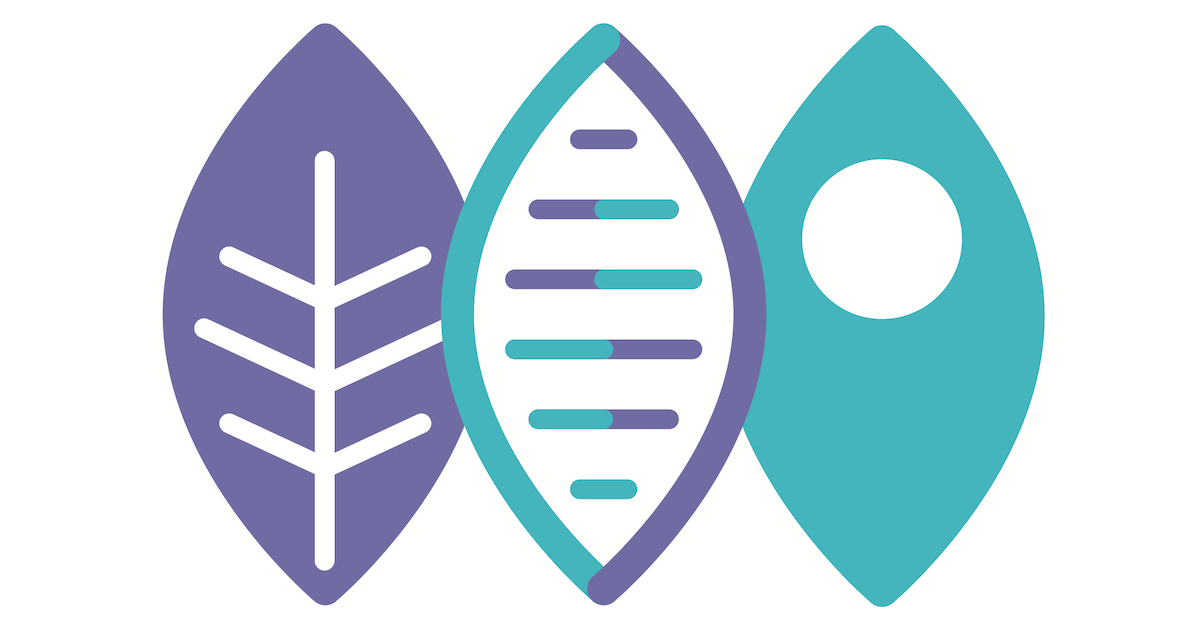 DNA Testing & Genetic Genealogy | Maximise Your Success