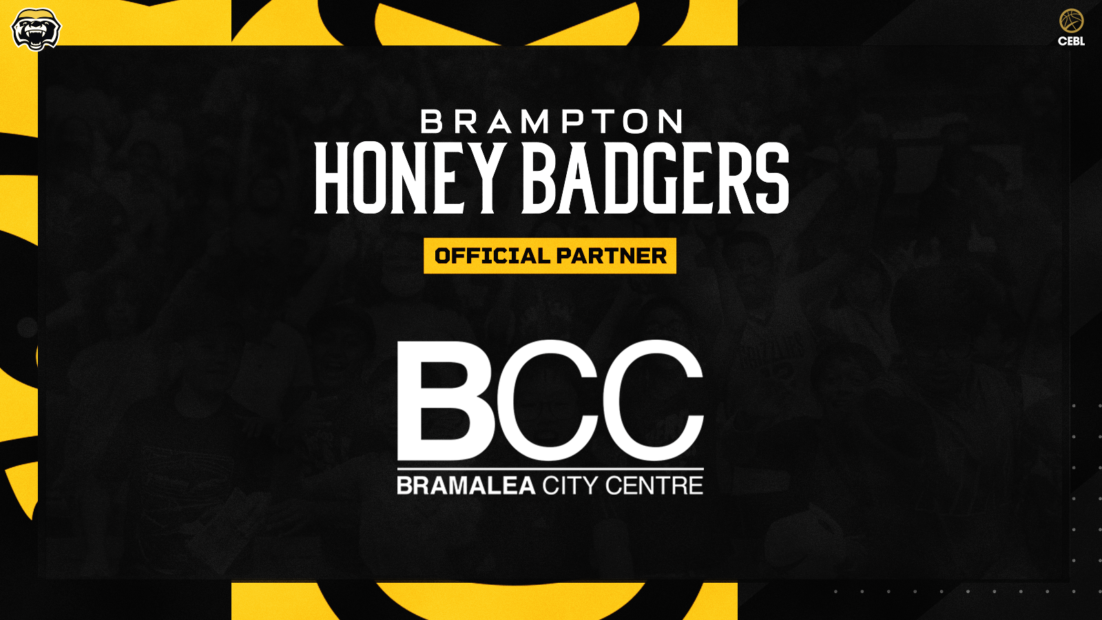 Brampton Honey Badgers - Canadian Professional Basketball Team