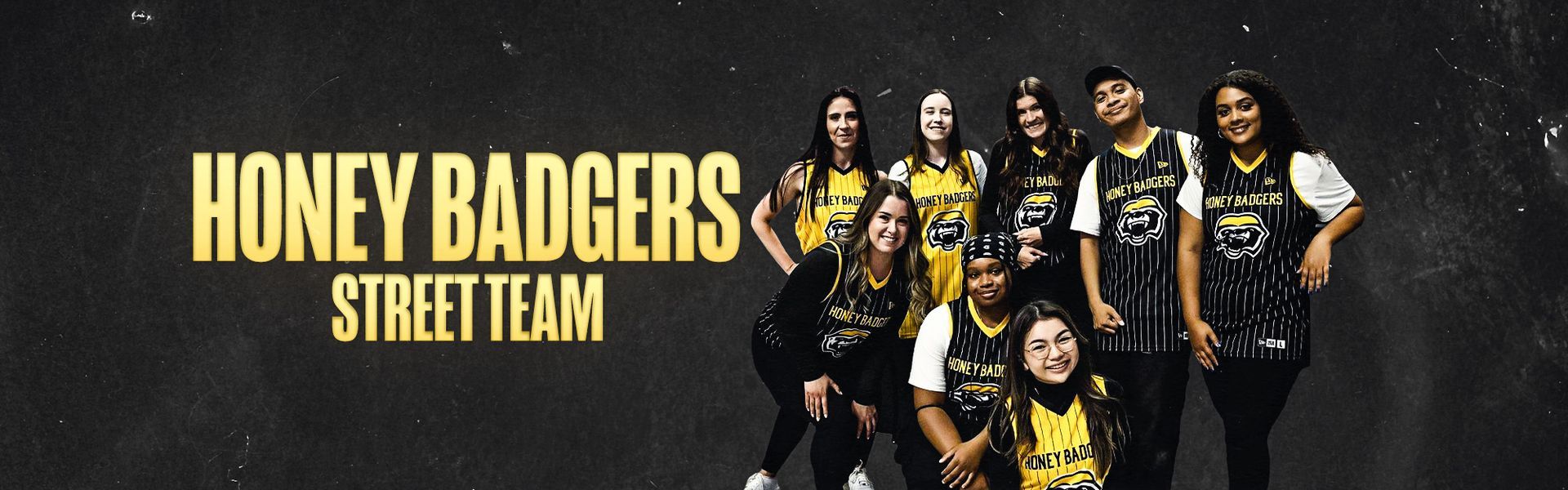Brampton Honey Badgers - Canadian Professional Basketball Team