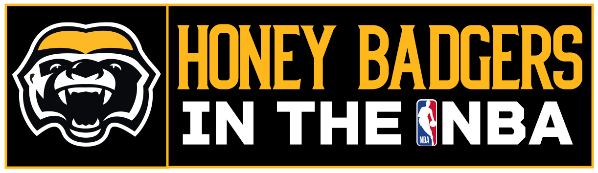 Brampton Honey Badgers - Canadian Professional Basketball Team