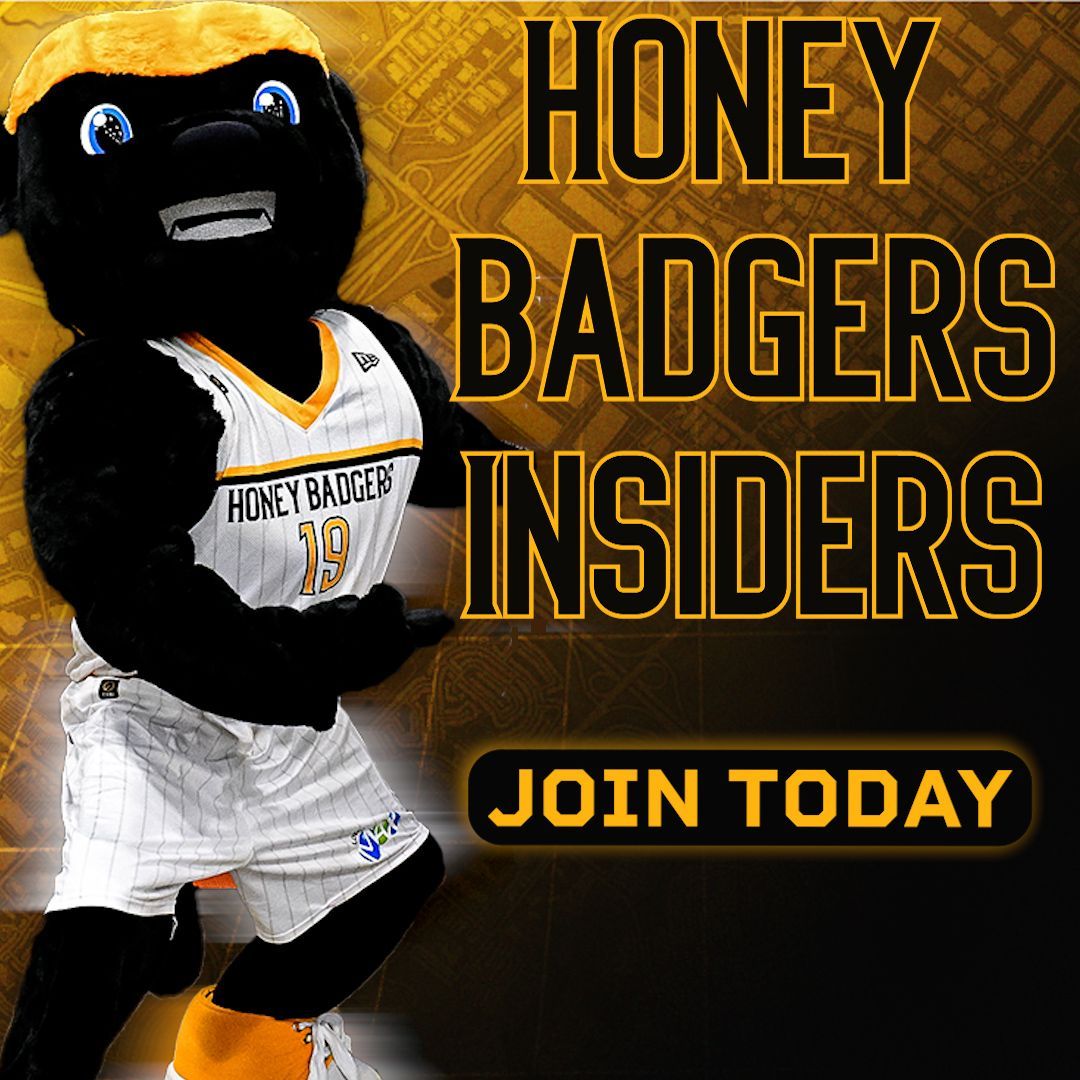 Brampton Honey Badgers - Canadian Professional Basketball Team