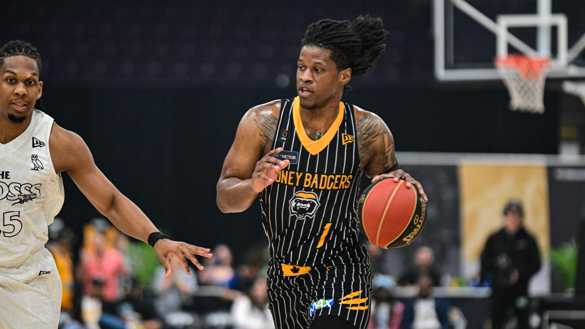 HONEY BADGERS HOST SHOOTING STARS IN SALUTE TO SERVICE GAME PRESENTED ...