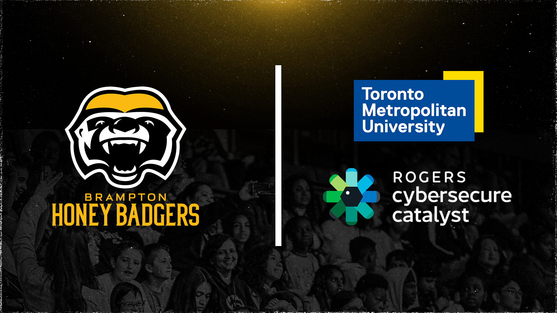 Brampton Honey Badgers - Canadian Professional Basketball Team