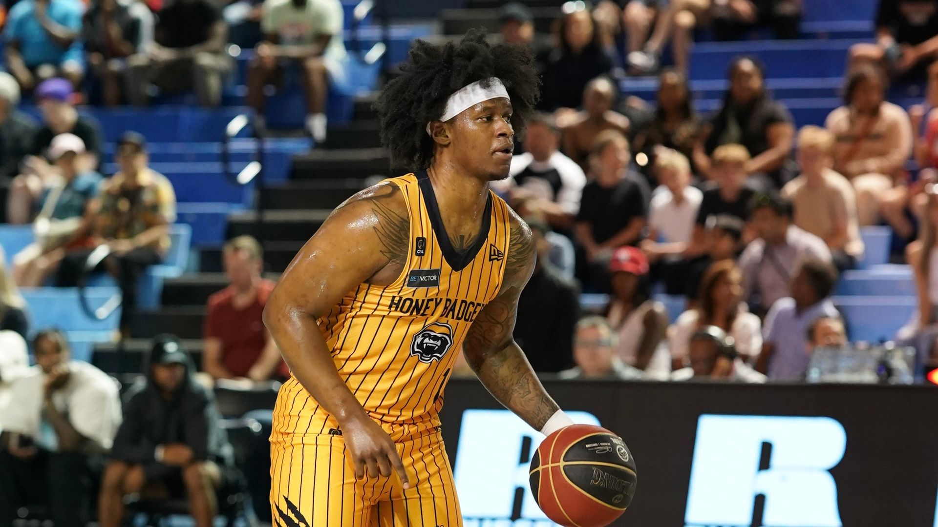 Brampton Honey Badgers - Canadian Professional Basketball Team