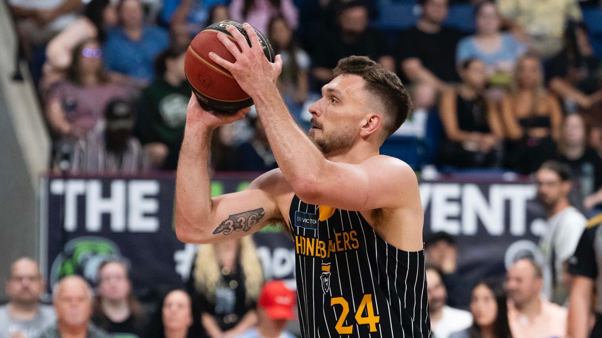 Brampton Honey Badgers - Canadian Professional Basketball Team