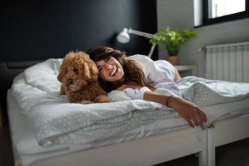 ¿Tu perro debe dormir en tu cama? [Pros y contras para dejar o no ...