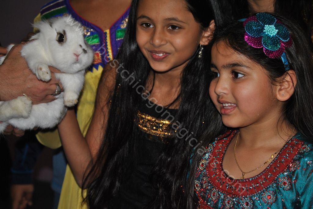 Chicago Magicians - Chicago Magic Show Gallery