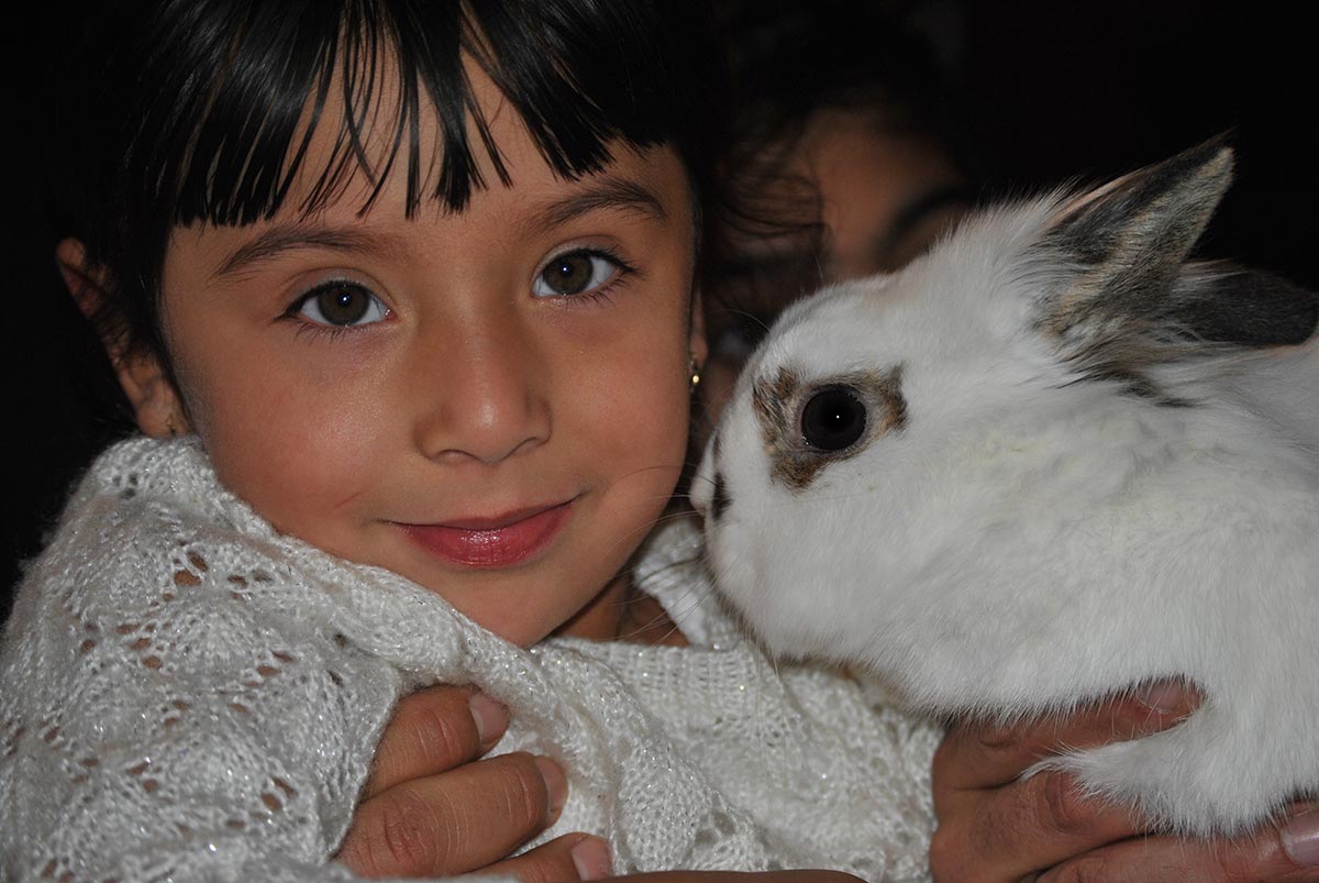 Chicago Magician, Chicago Magic Show with Live Animals
